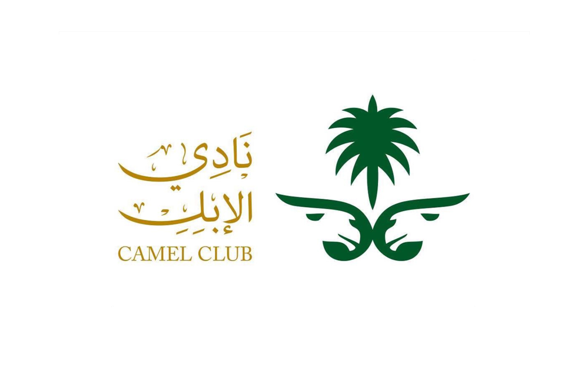 Camel Club - Saudipedia