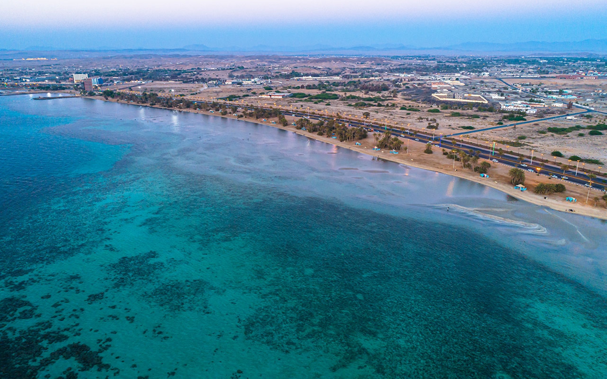 Red Sea Plains - Saudipedia