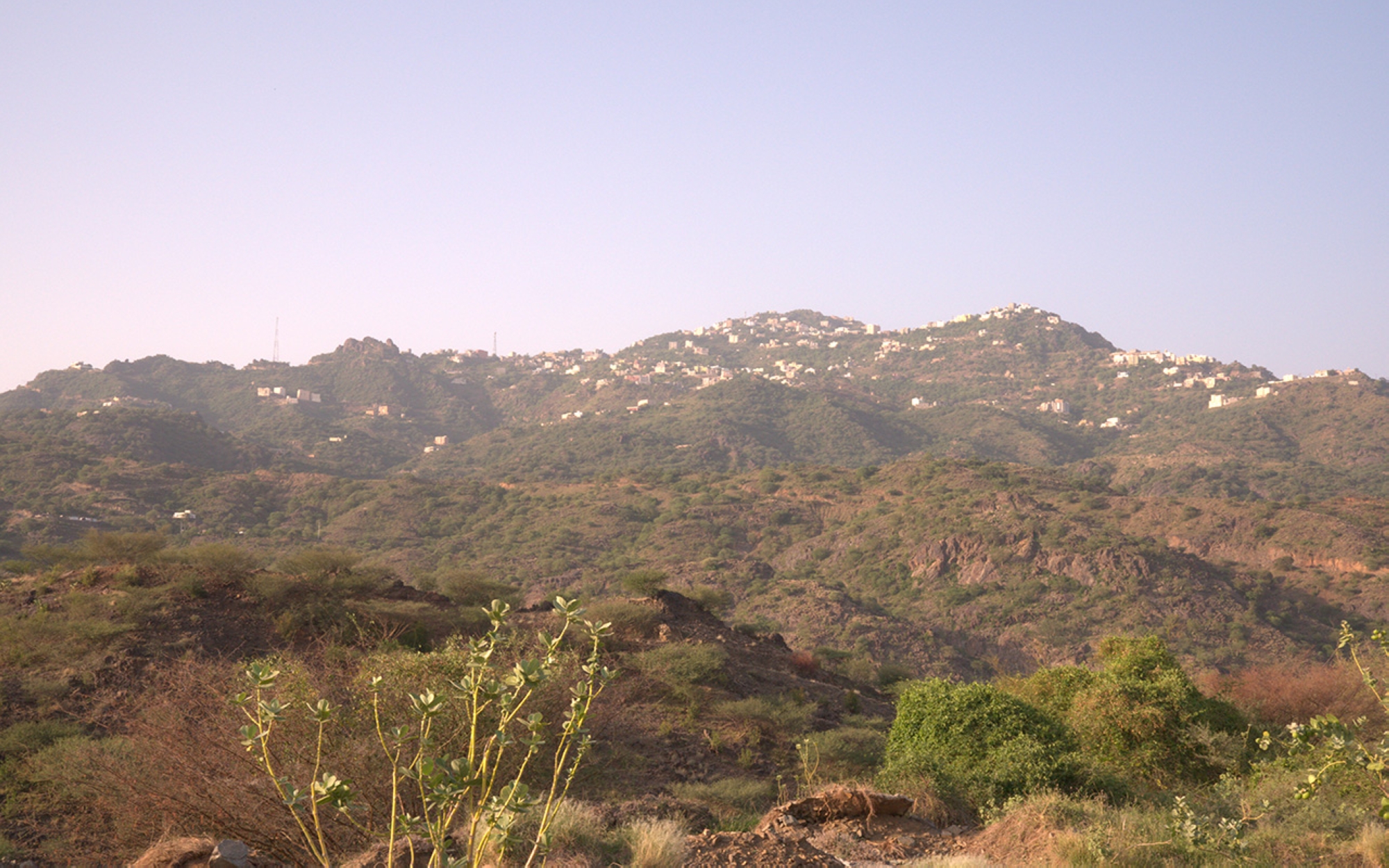 Fayfa Governorate - Saudipedia