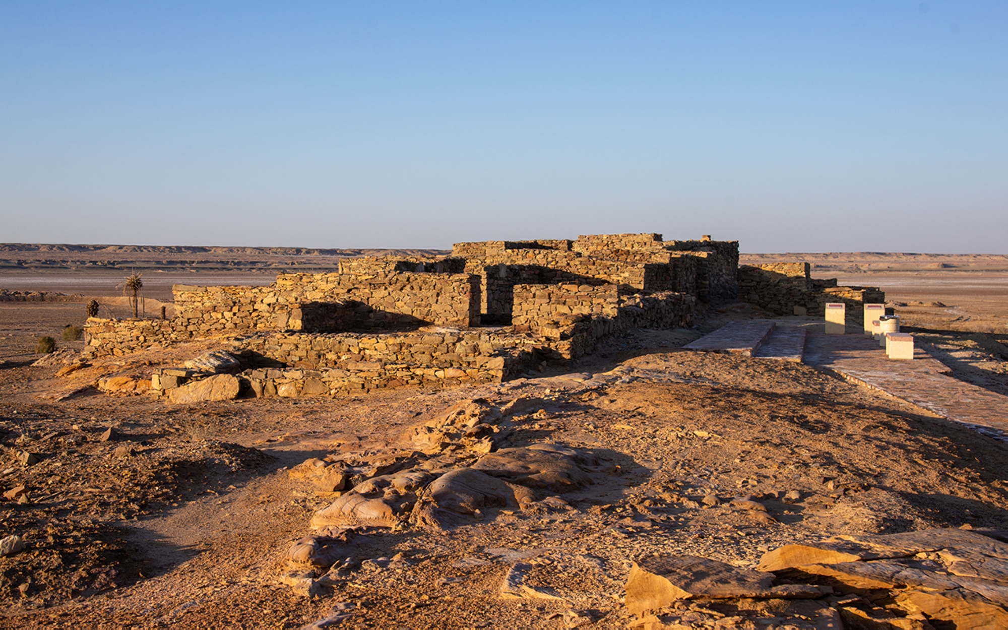 Al-Hamra Palace in Tayma - Saudipedia