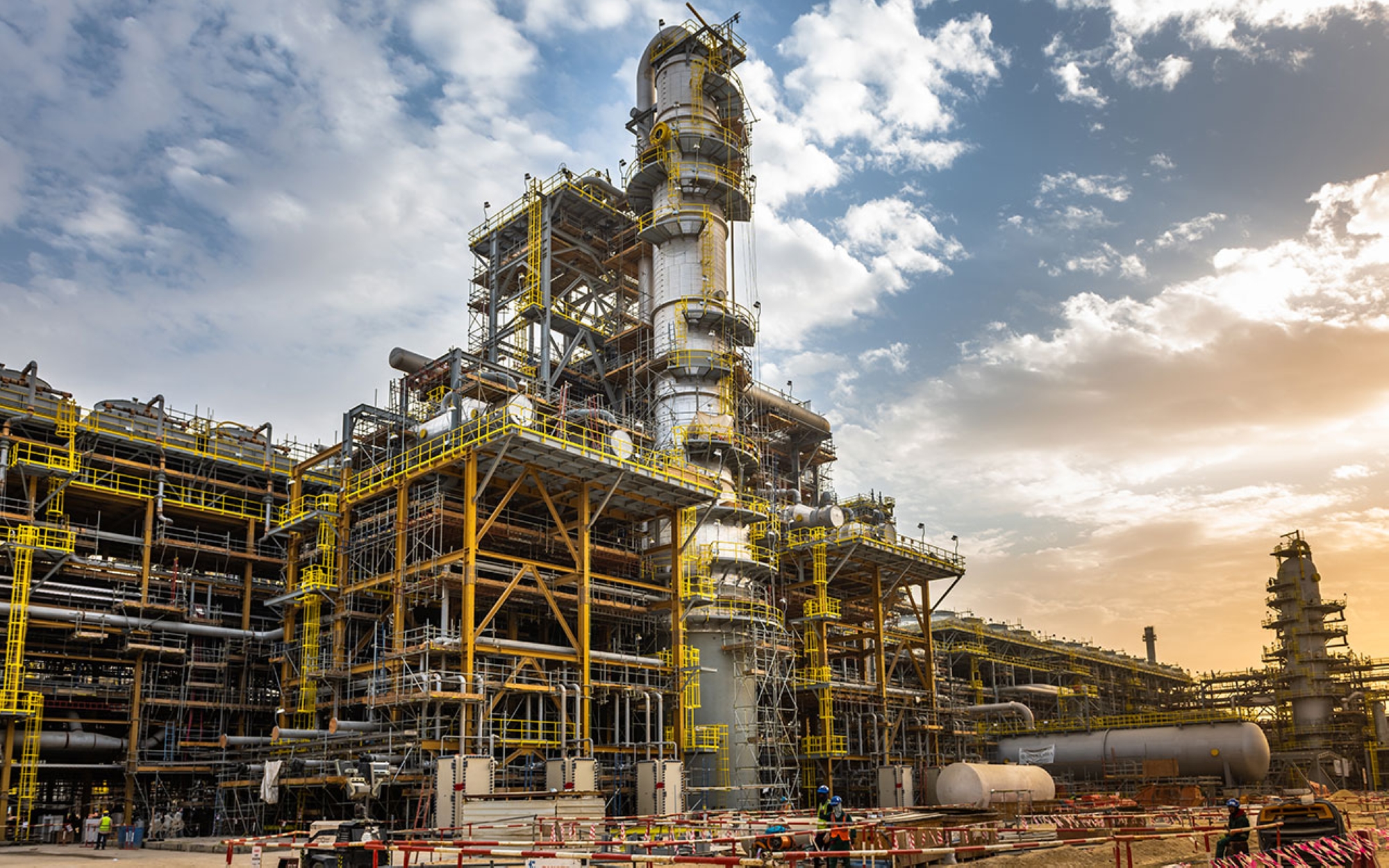 Fadhili Plant - Saudipedia