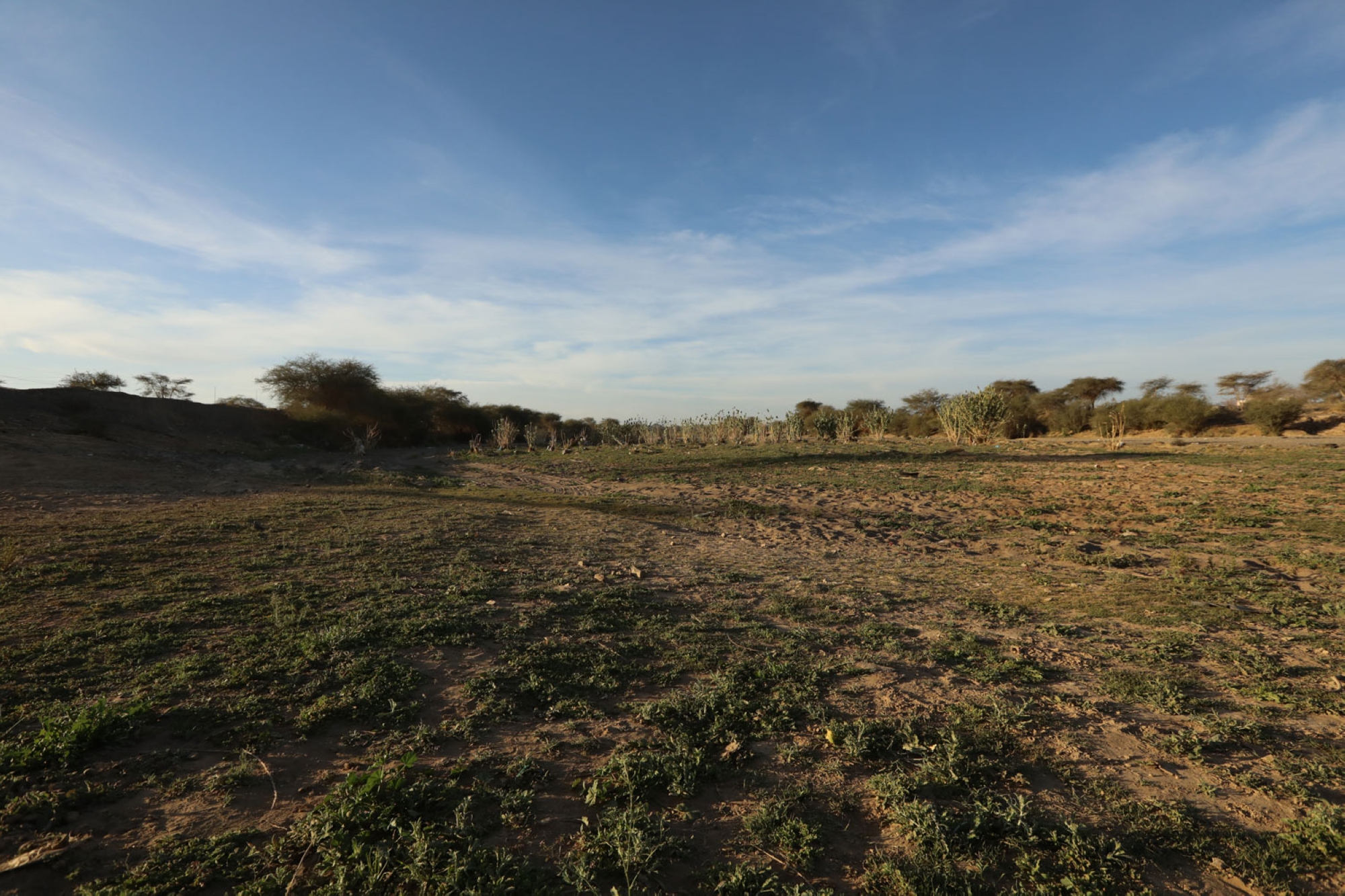 Climate of Saudi Arabia - Saudipedia