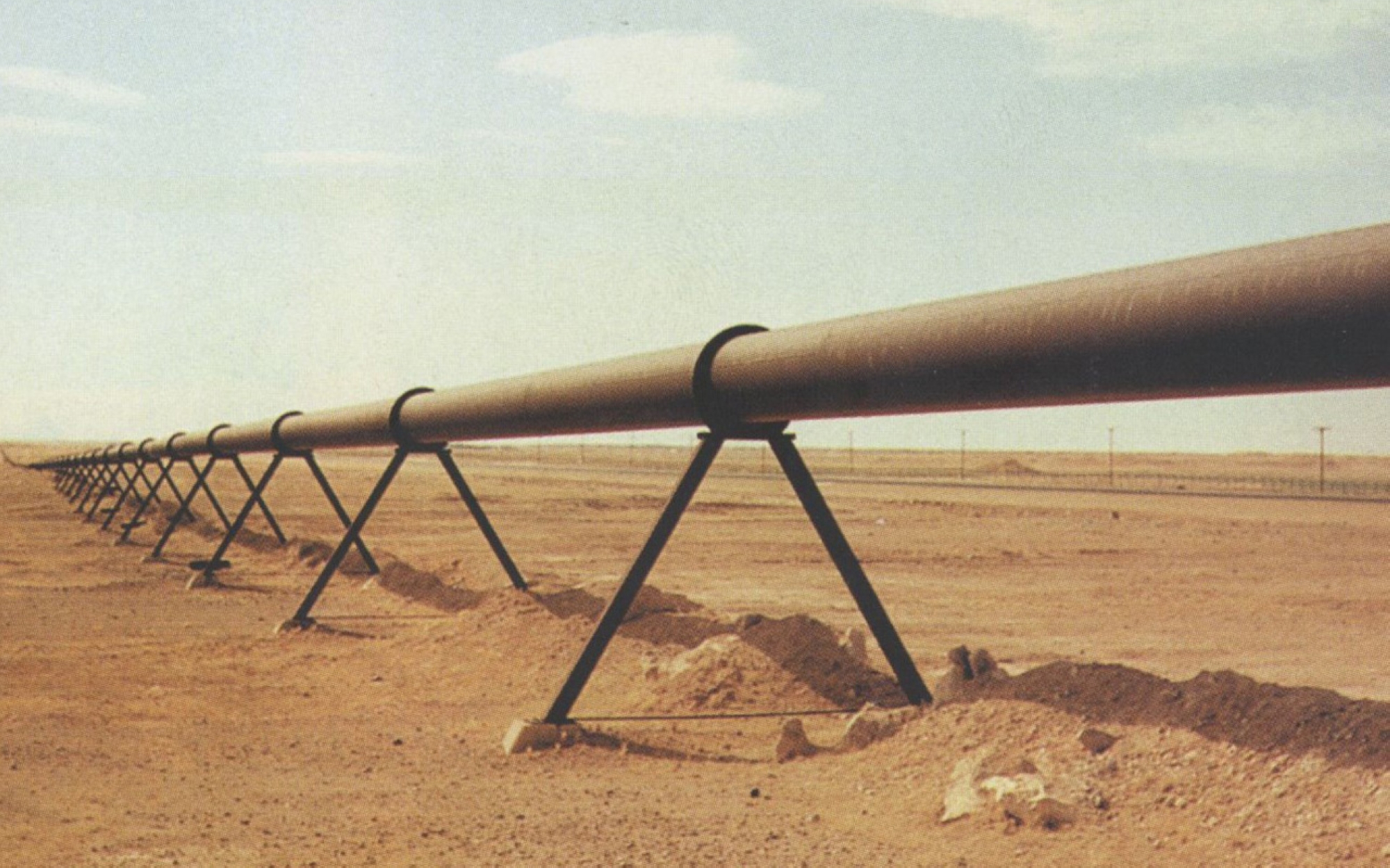 What Is the Tapline? - Saudipedia