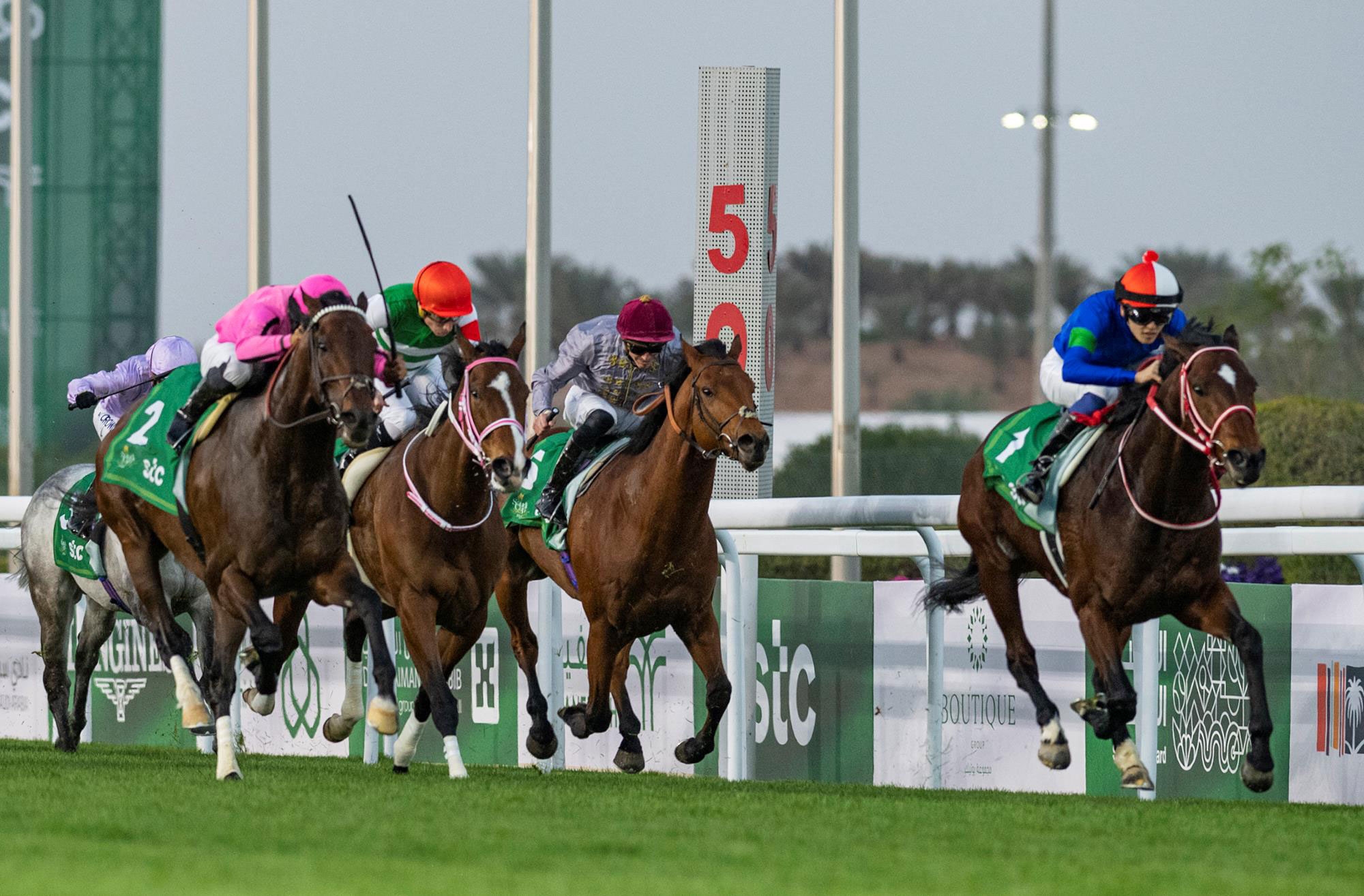 Saudi Cup Horse Race 2023 - Saudipedia