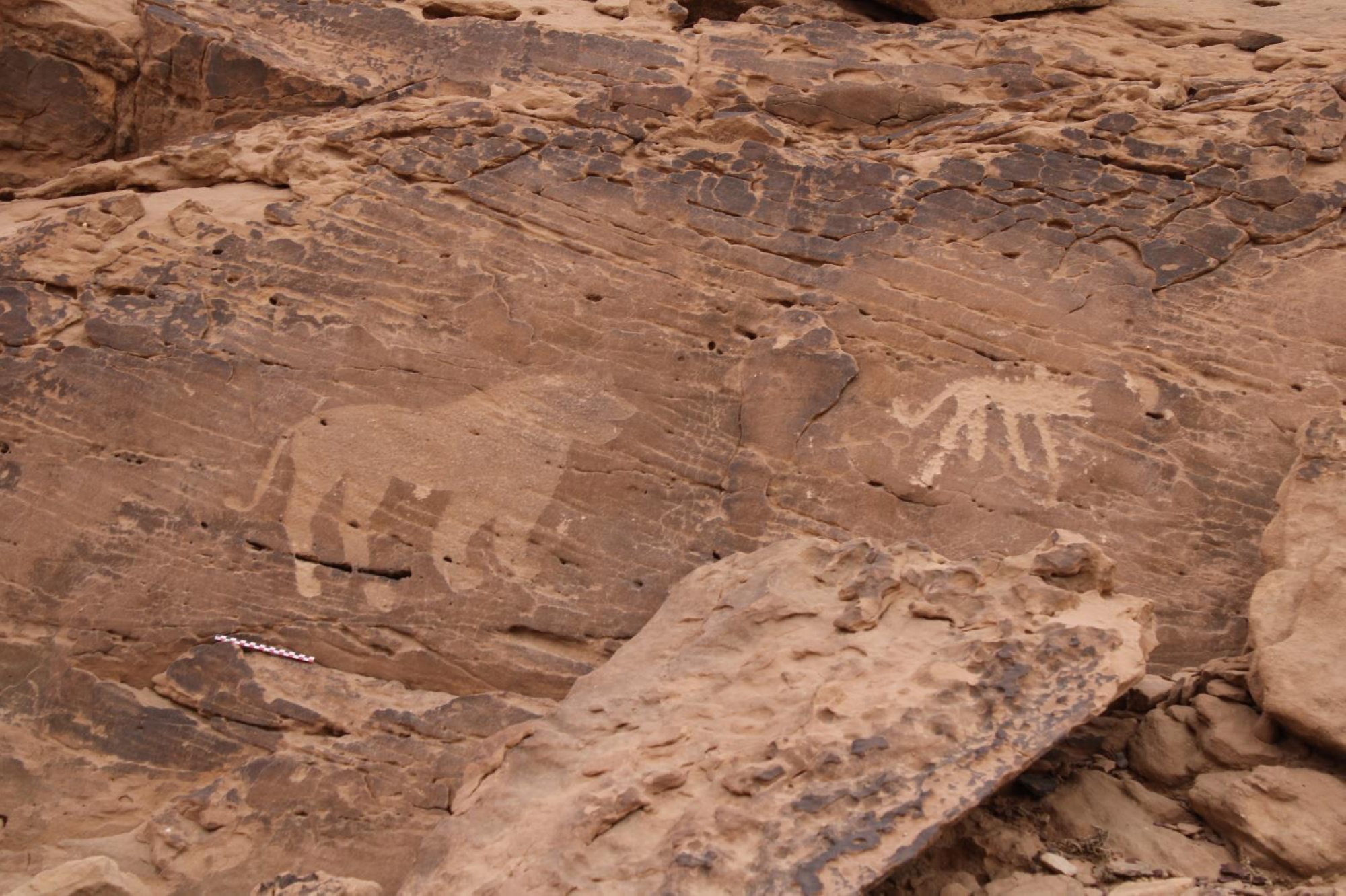 Rock Inscriptions and Drawings in Qassim Province - Saudipedia