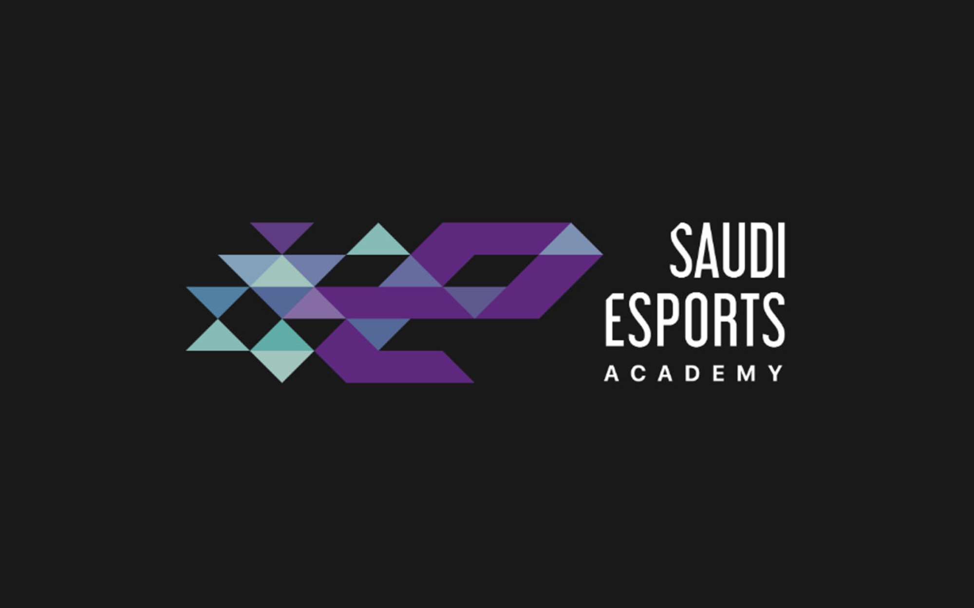 Saudi Esports Academy - Saudipedia
