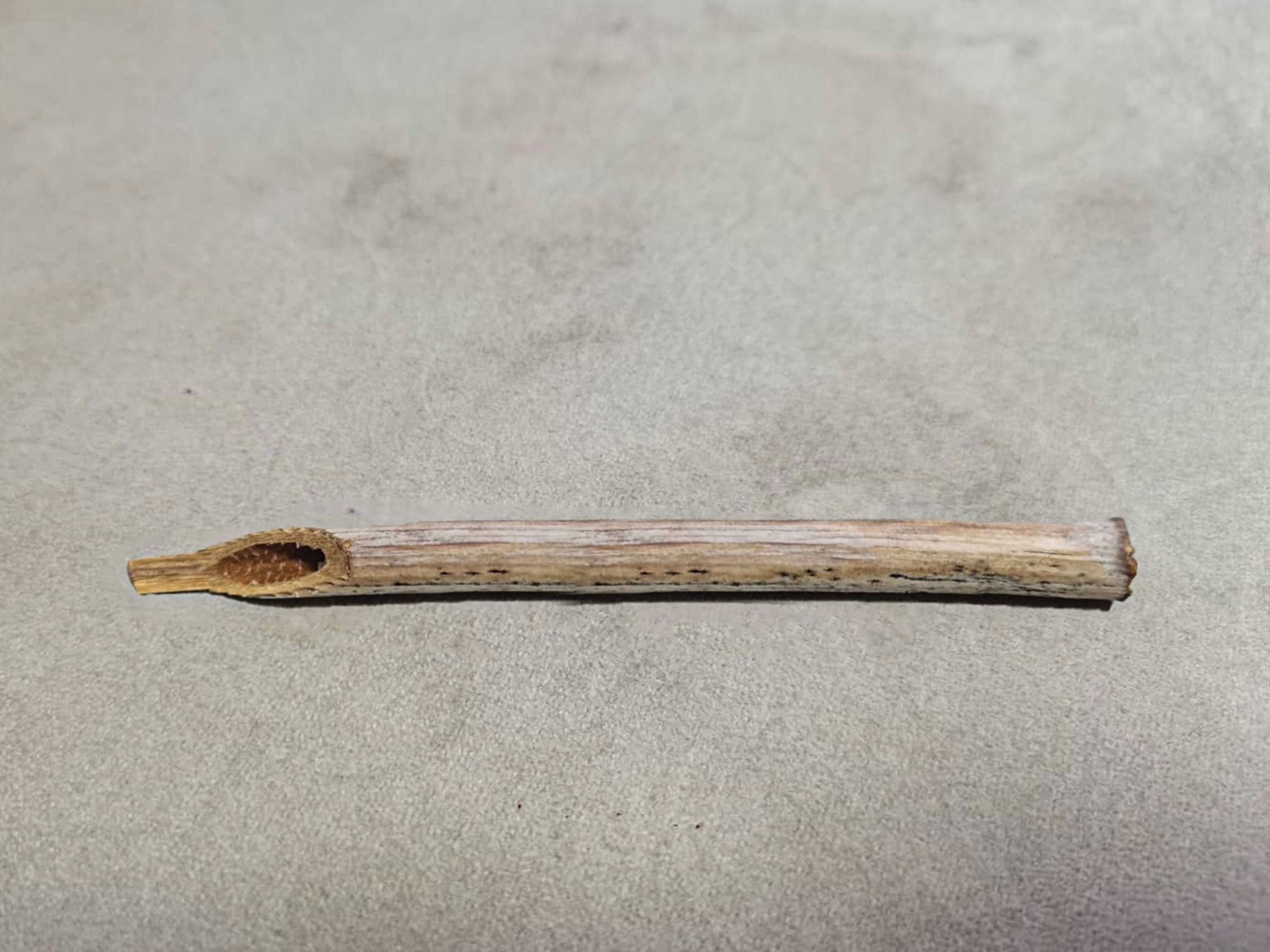 What Are the Names of Pens in the First Saudi State? - Saudipedia