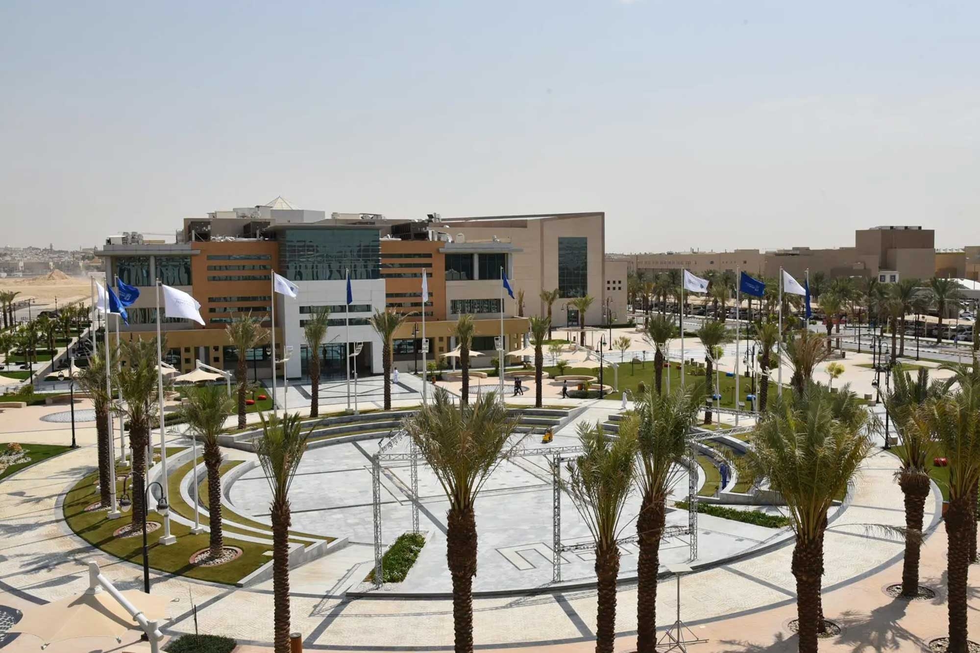 Center for Statistics and Information (CSI) at Prince Sultan University ...