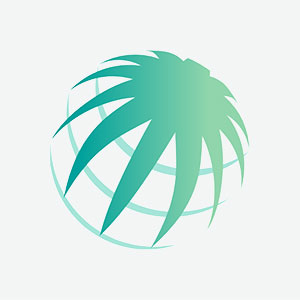 History-The First Saudi State