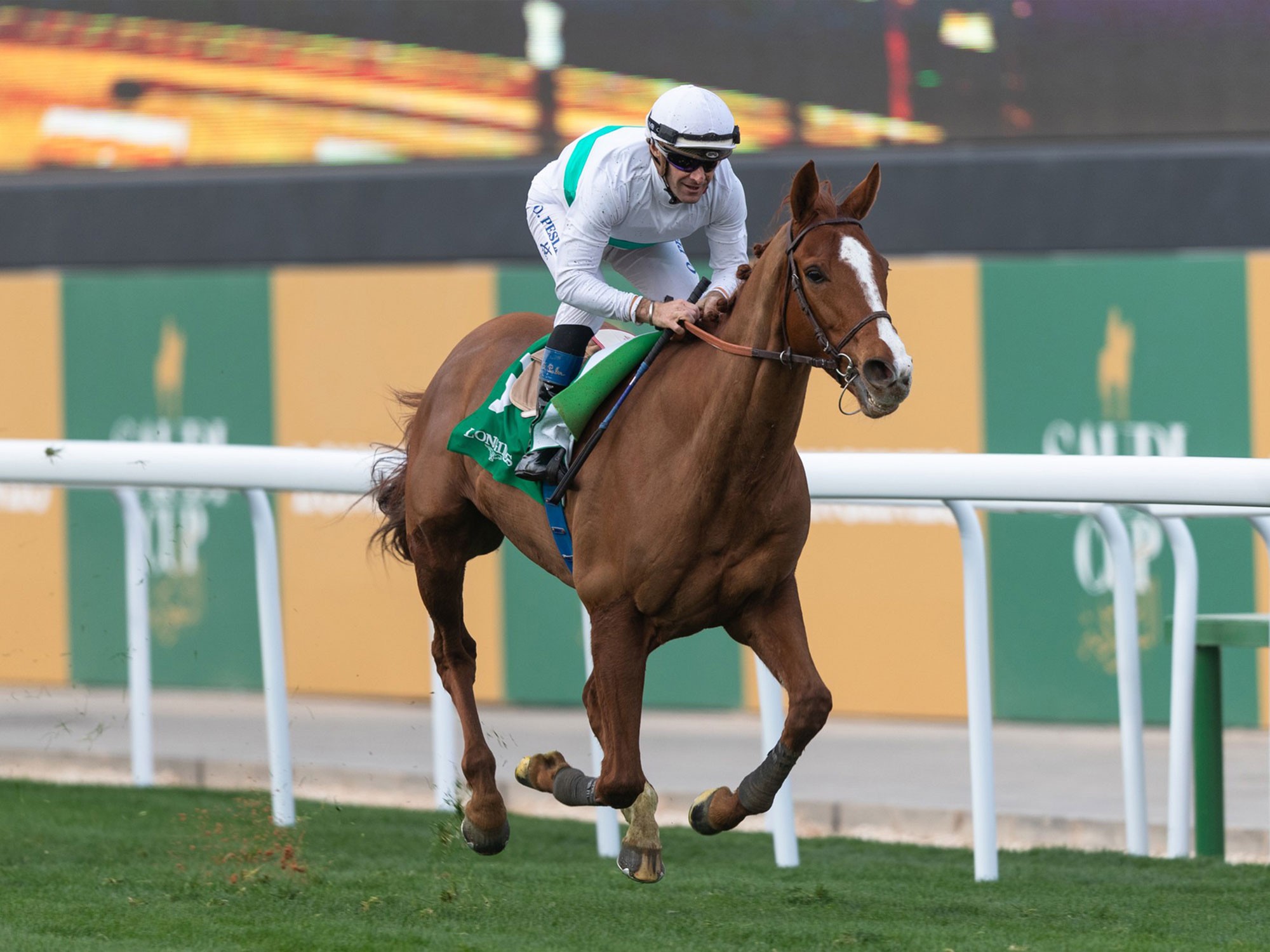 كأس السعودية لسباق الخيل 2020 - سعوديبيديا