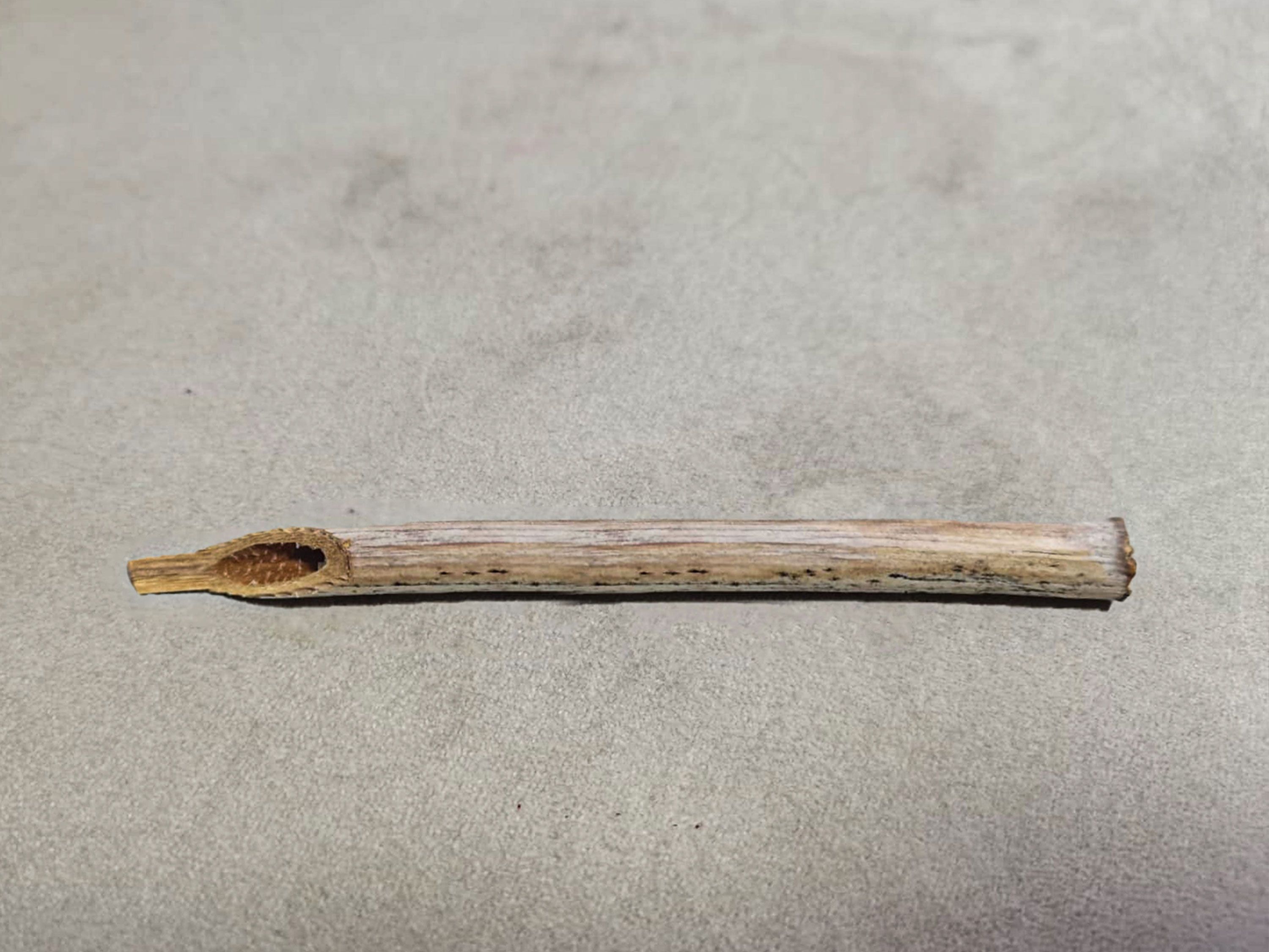 What Are the Names of Pens in the First Saudi State? - Saudipedia