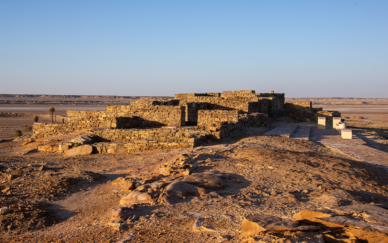 Al-Hamra Palace in Tayma - Saudipedia