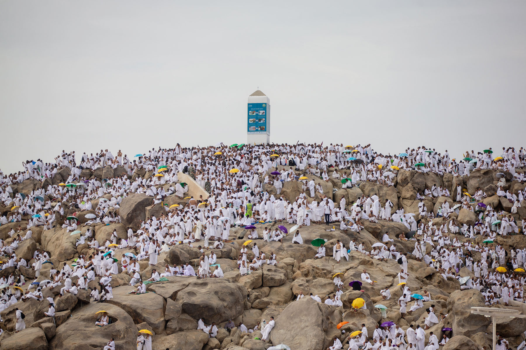 Domestic Pilgrim Services - Saudipedia