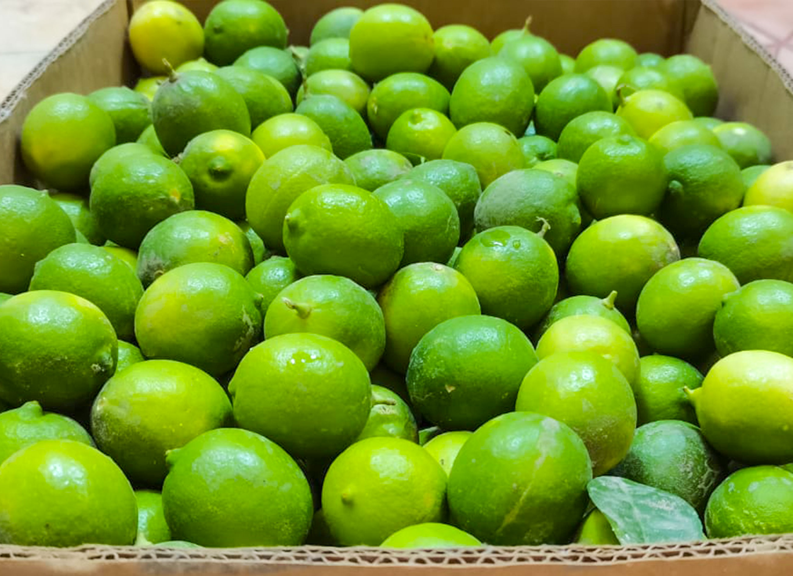 Al-Hasawi Lime - Saudipedia