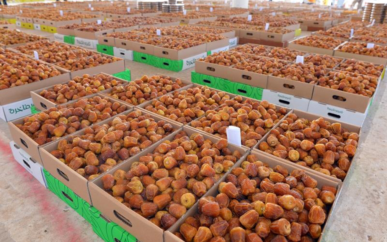 What Are the Most Produced Types of Dates in Saudi Arabia? - Saudipedia